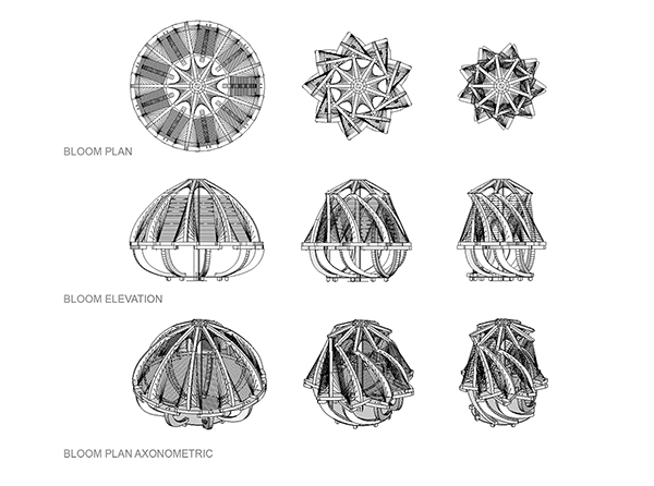 Bloom - Ling-Li Tseng